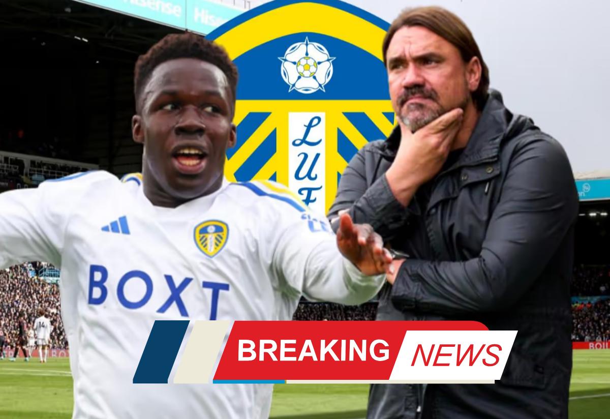 Leeds United: Willy Gnonto development at Elland Road - Sky Sports