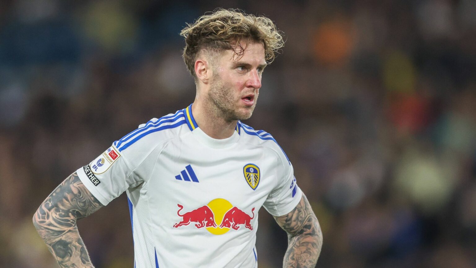 Joe Rodon ban update shared after what happened in Leeds v Sunderland