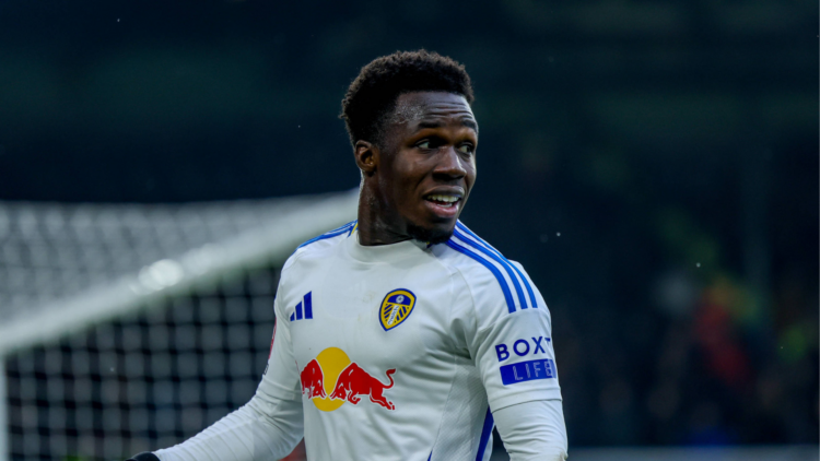 Leeds United to 'go all in' on Wilfried Gnonto after what Daniel Farke ...