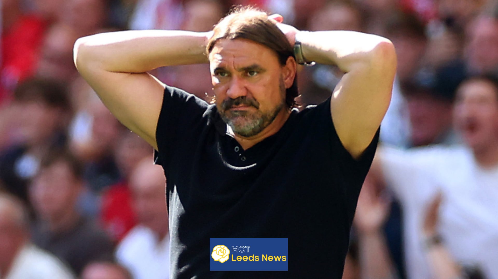 Daniel Farke could face sack in 'savage' Leeds United admission