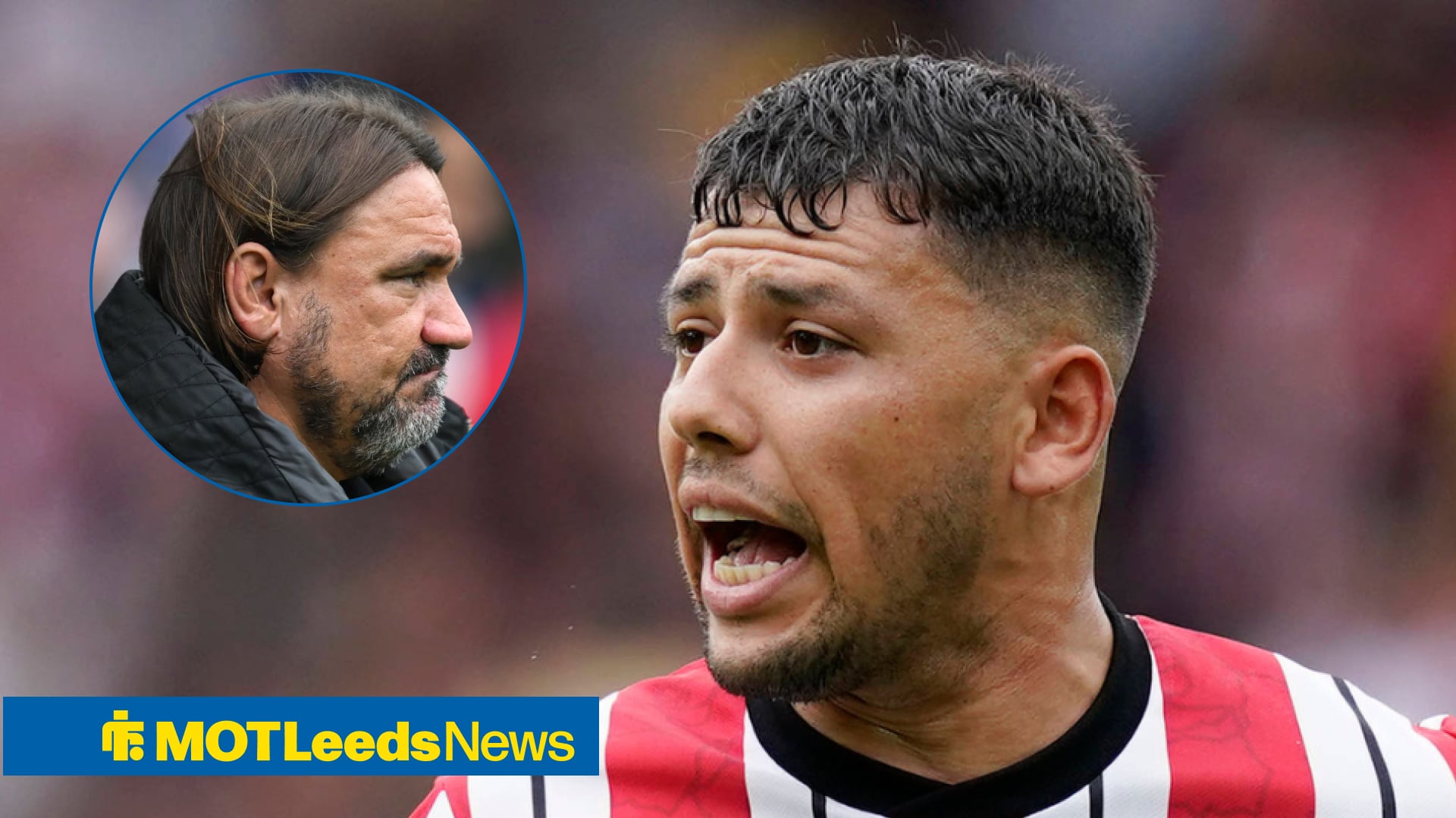 Leeds will need to move quickly to sign Gustavo Hamer after latest ...