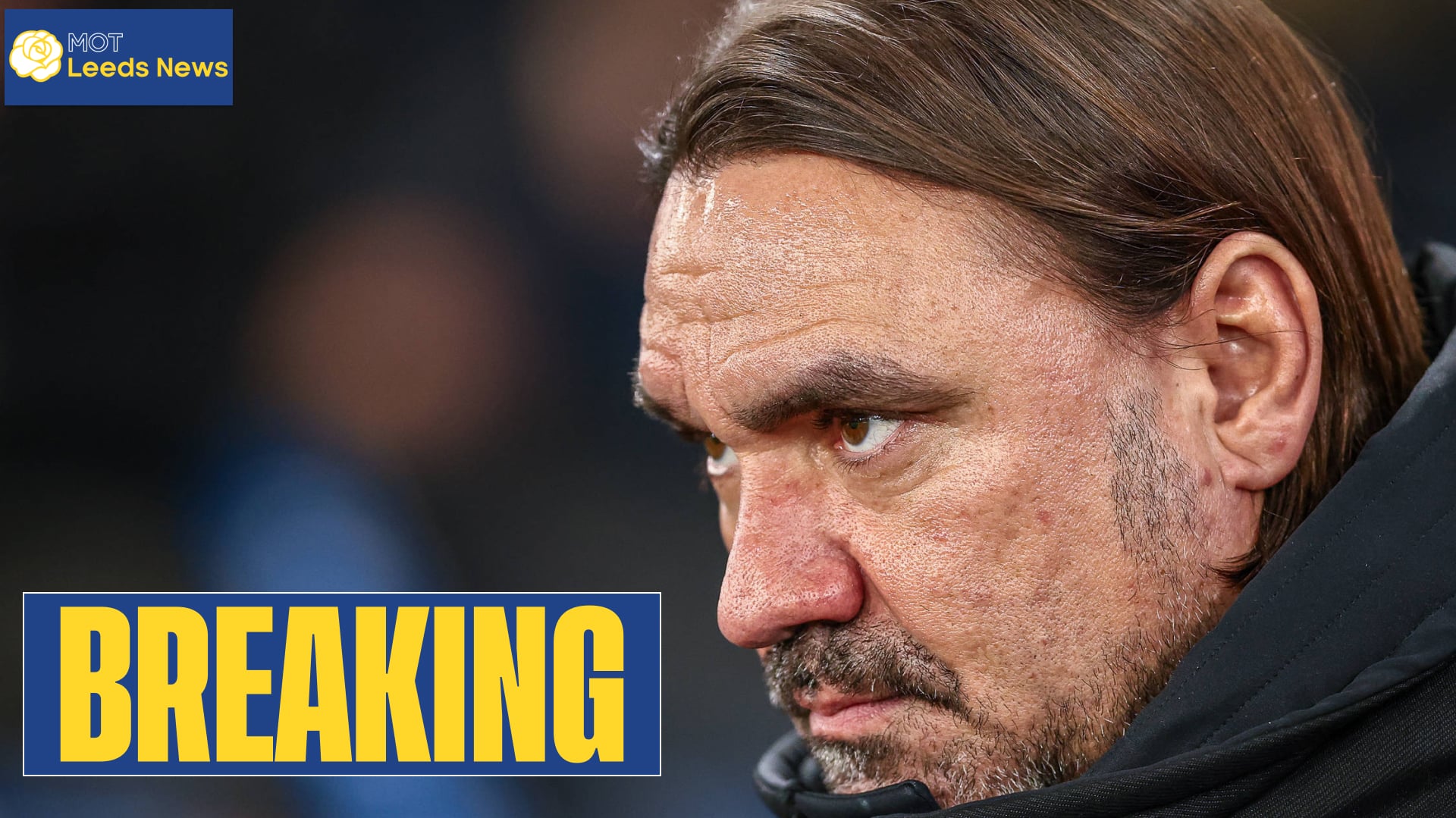 Daniel Farke 'redundancy package' revealed as Leeds sack story drops