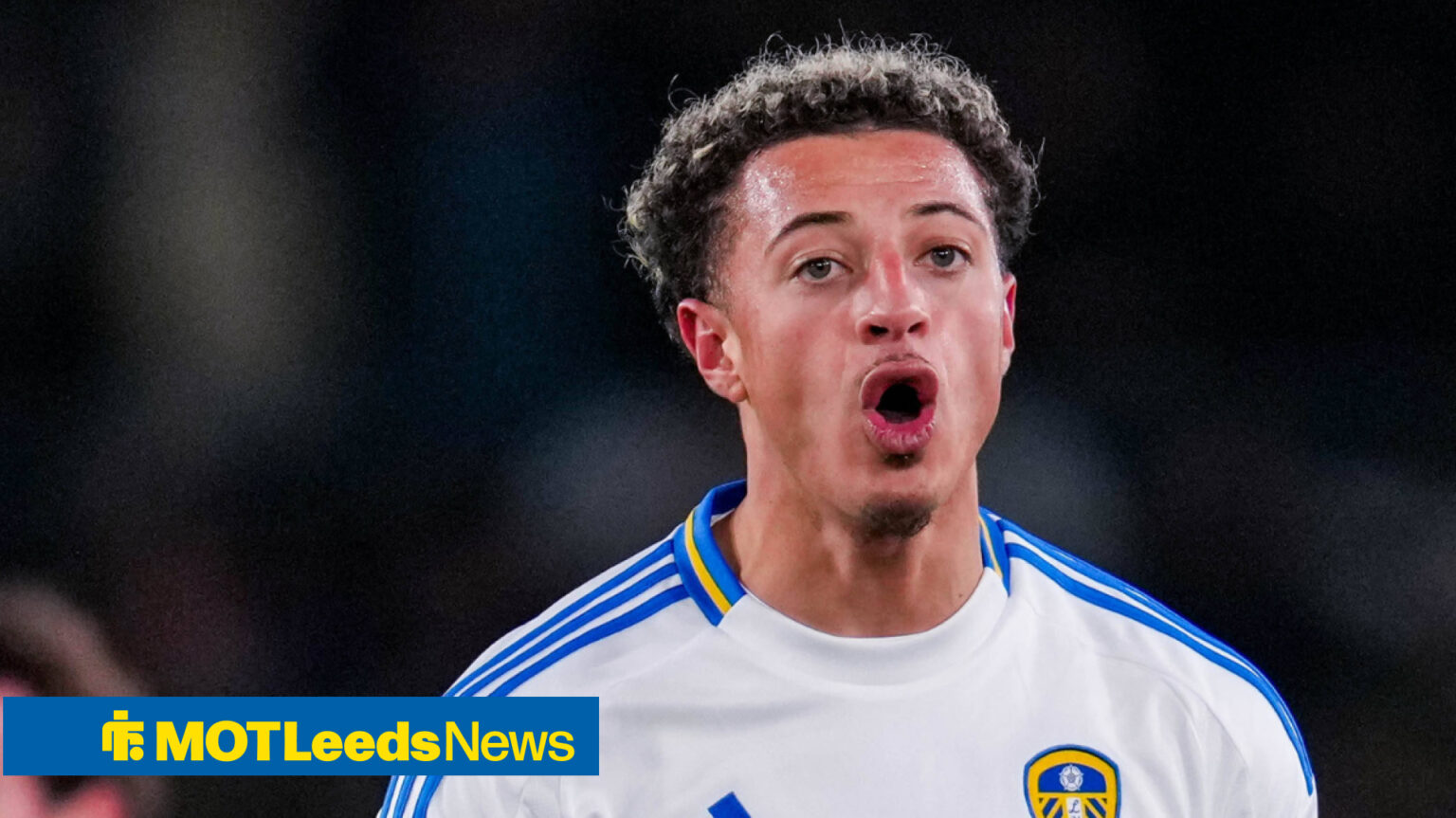 Ethan Ampadu injury update emerges after worrying Leeds scenes vs Everton