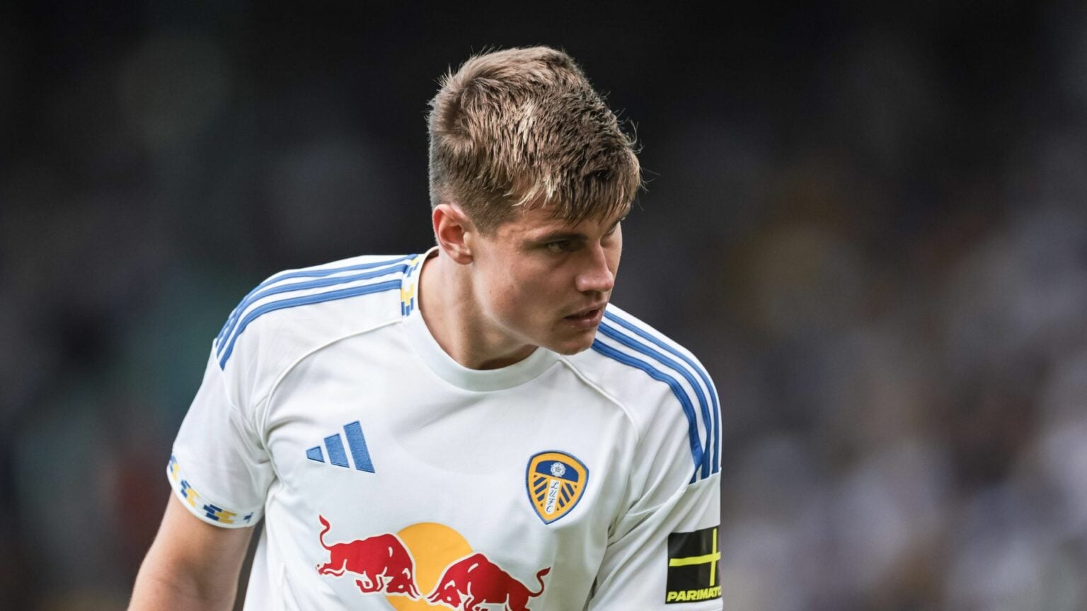Leeds United fans will absolutely love what Jaka Bijol said ahead of ...