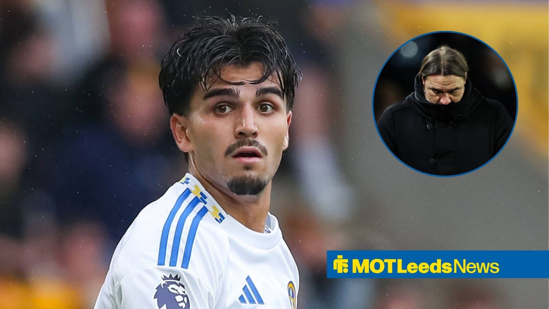 Pascal Struijk self-destructs, Daniel Farke hooks stand-out star - Leeds United player ratings ...