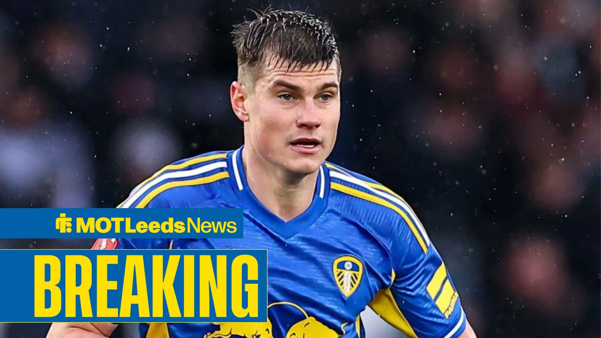 Jaka Bijol will miss these Leeds games after Daniel Farke gives new ...